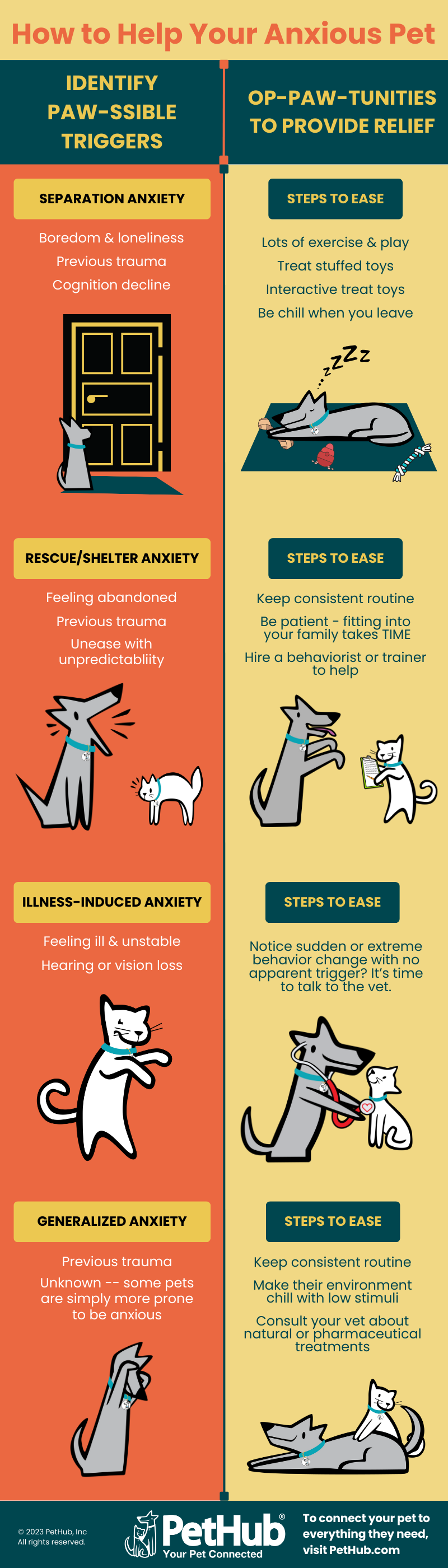 How to Help Your Anxious Pet | PetHub