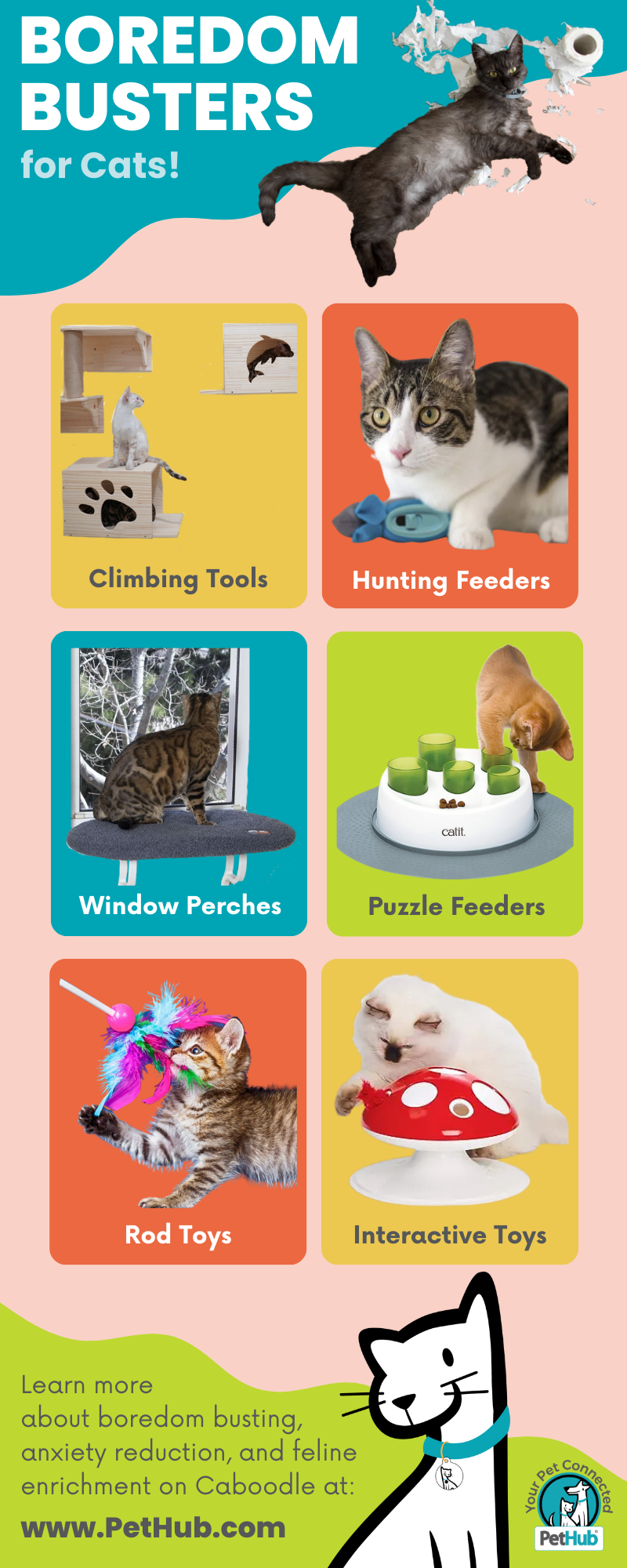 Boredom Busters for Cats | PetHub